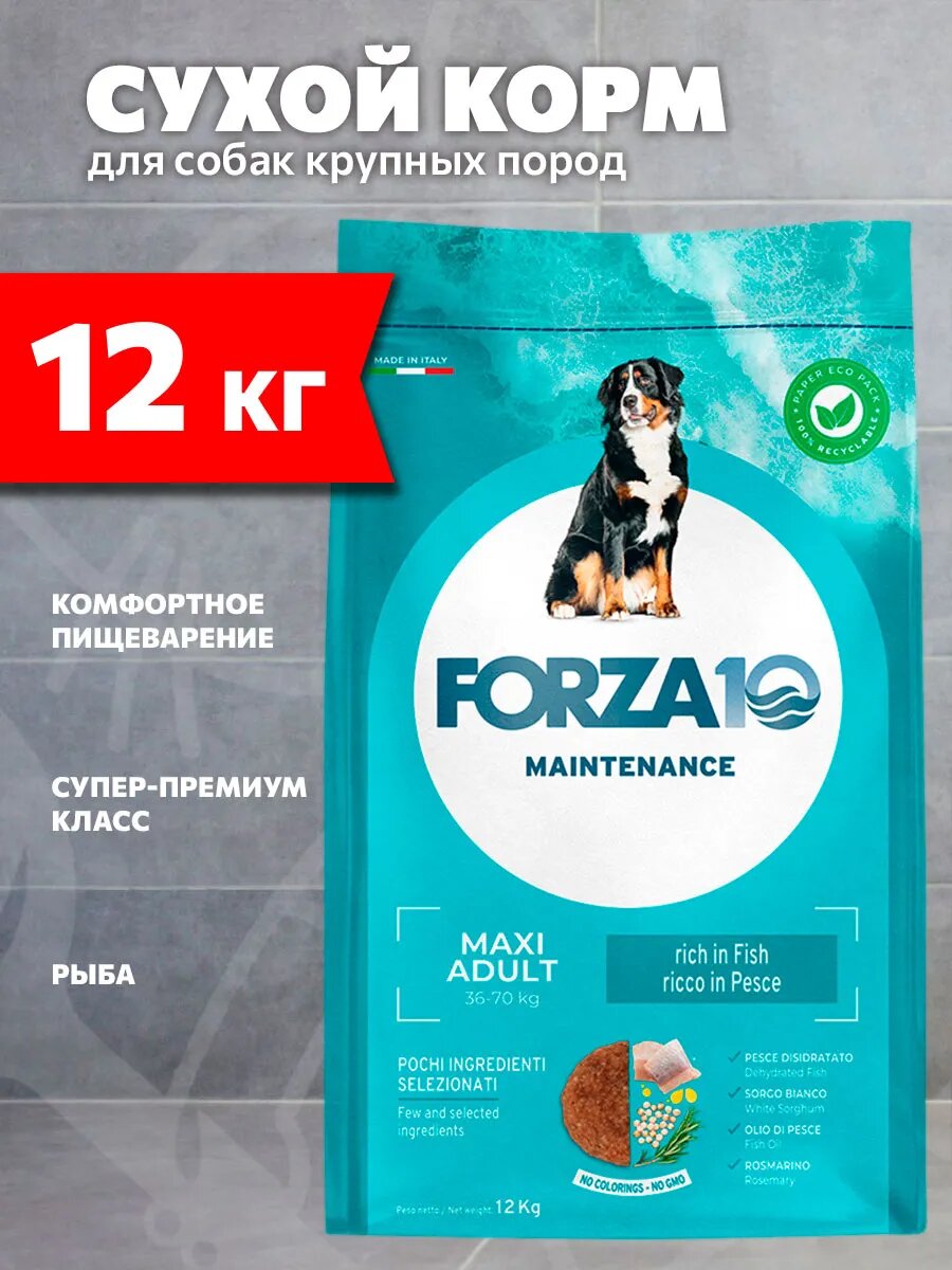 Корм сухой Forza10 Dog Maintenance Adult Maxi для взрослых собак крупных пород с рыбой, 12 кг