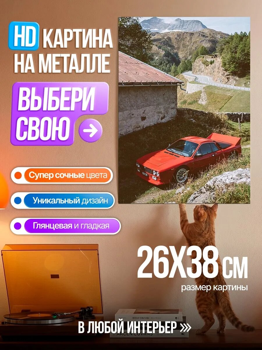 Картина на HD металле Красная машина в горах