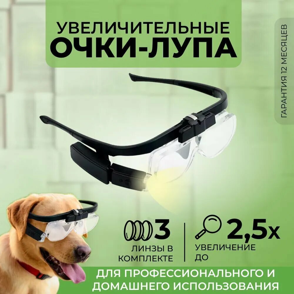 Очки-лупа с подсветкой BST 116-42DC