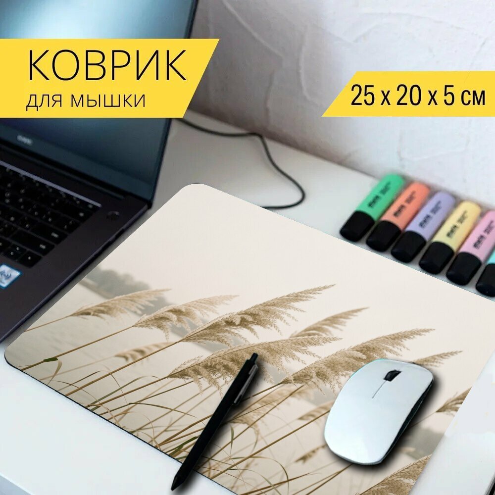 Коврик для мыши с принтом "Тростник у спокойной воды. Нежные злаковые метелки на берегу тихого водоема, мягкая бежево-серая палитра, туманная даль и воздушная природная." 25x20см.