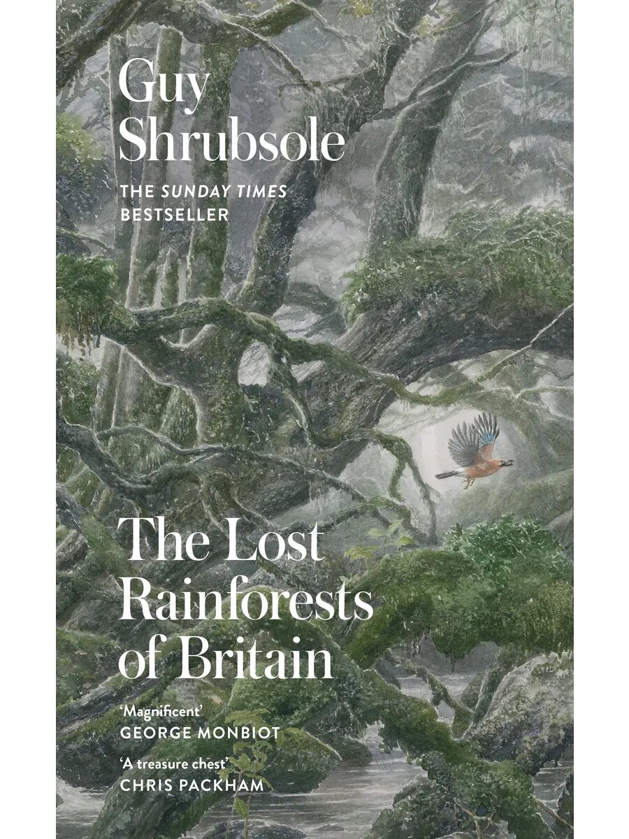 The Lost Rainforests of Britain