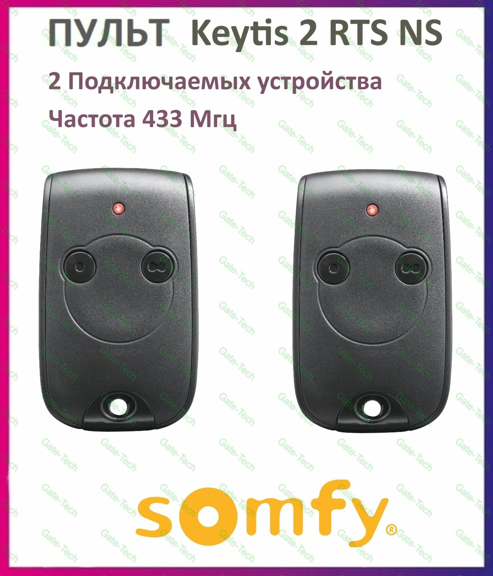 Пульт/брелок SOMFY Keytis 2 RTS NS, для автоматических ворот и шлагбаумов; 433 Мгц - 2 штуки
