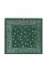 Шарф DOLCE & GABBANA Paisley-print square scarf для мальчиков, зеленый,