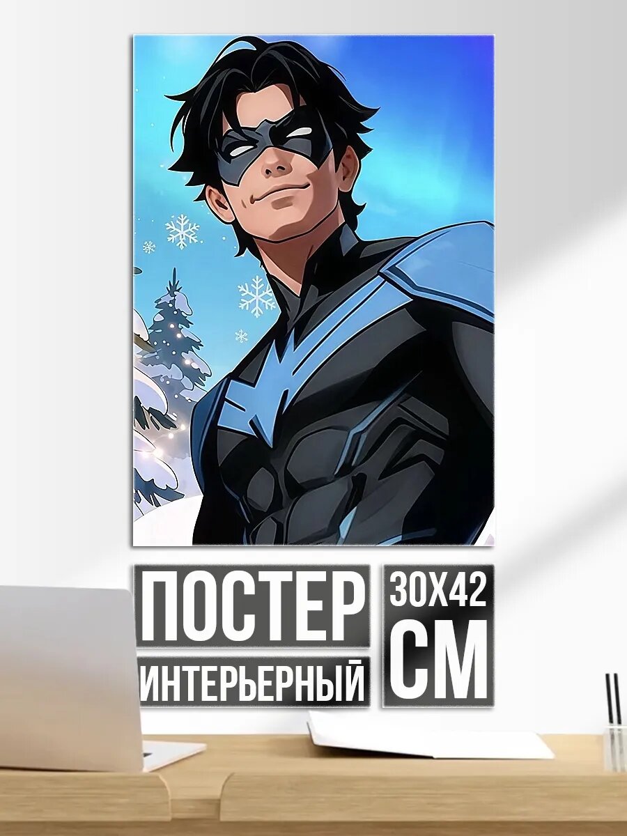 Плакат постер Найтвинг в снегу