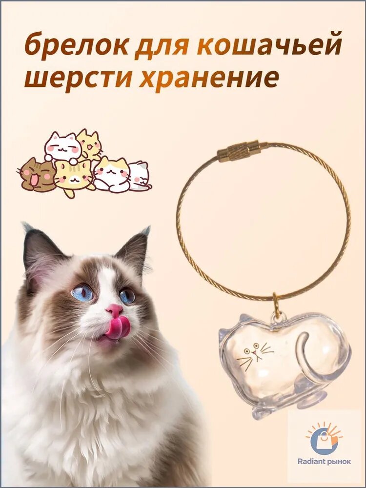 Прозрачный памятный кулон-капсула из кошачьей шерсти, милый, в форме кошки, подарок для любителей кошек