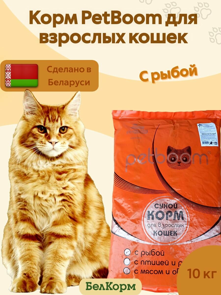Корм сухой для кошек с рыбой PetBoom 10 кг