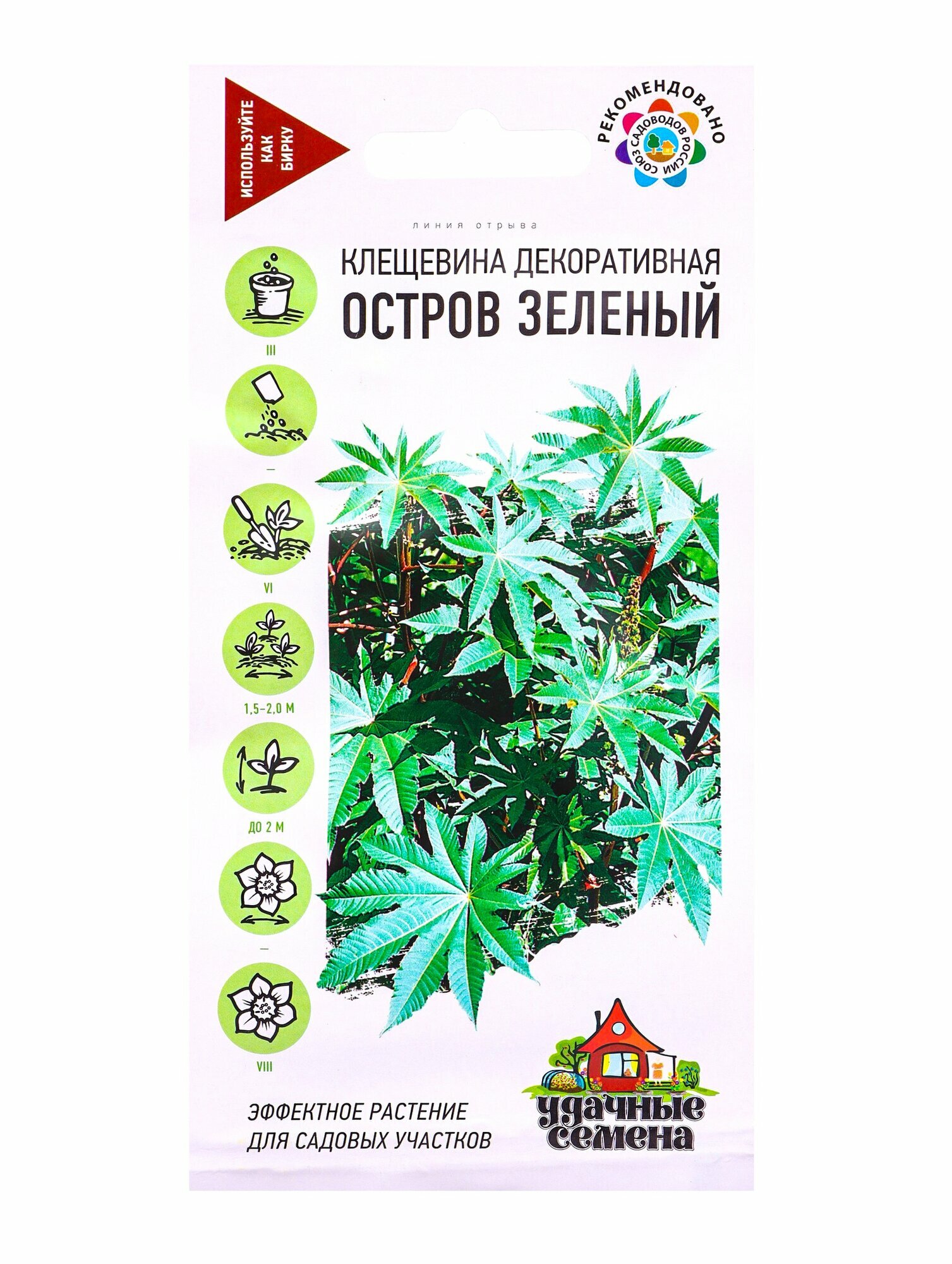 Семена цветов Клещевина декоративная «Остров Зеленый» 5 шт.