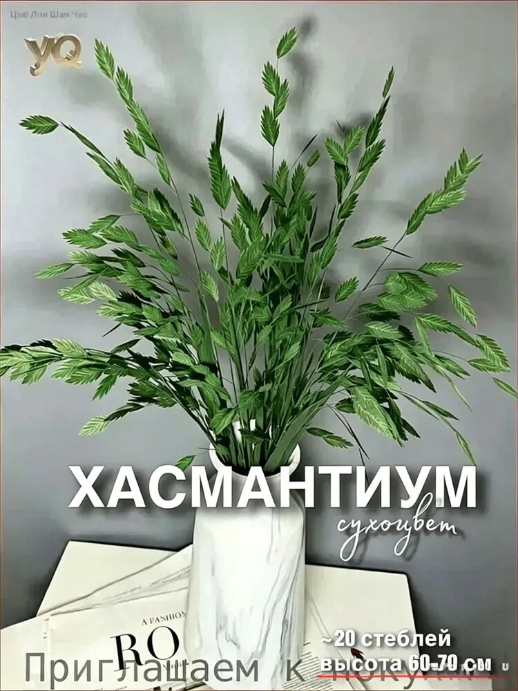 Сухоцветы Овёс, Мискантус 70 см 20 шт зеленый