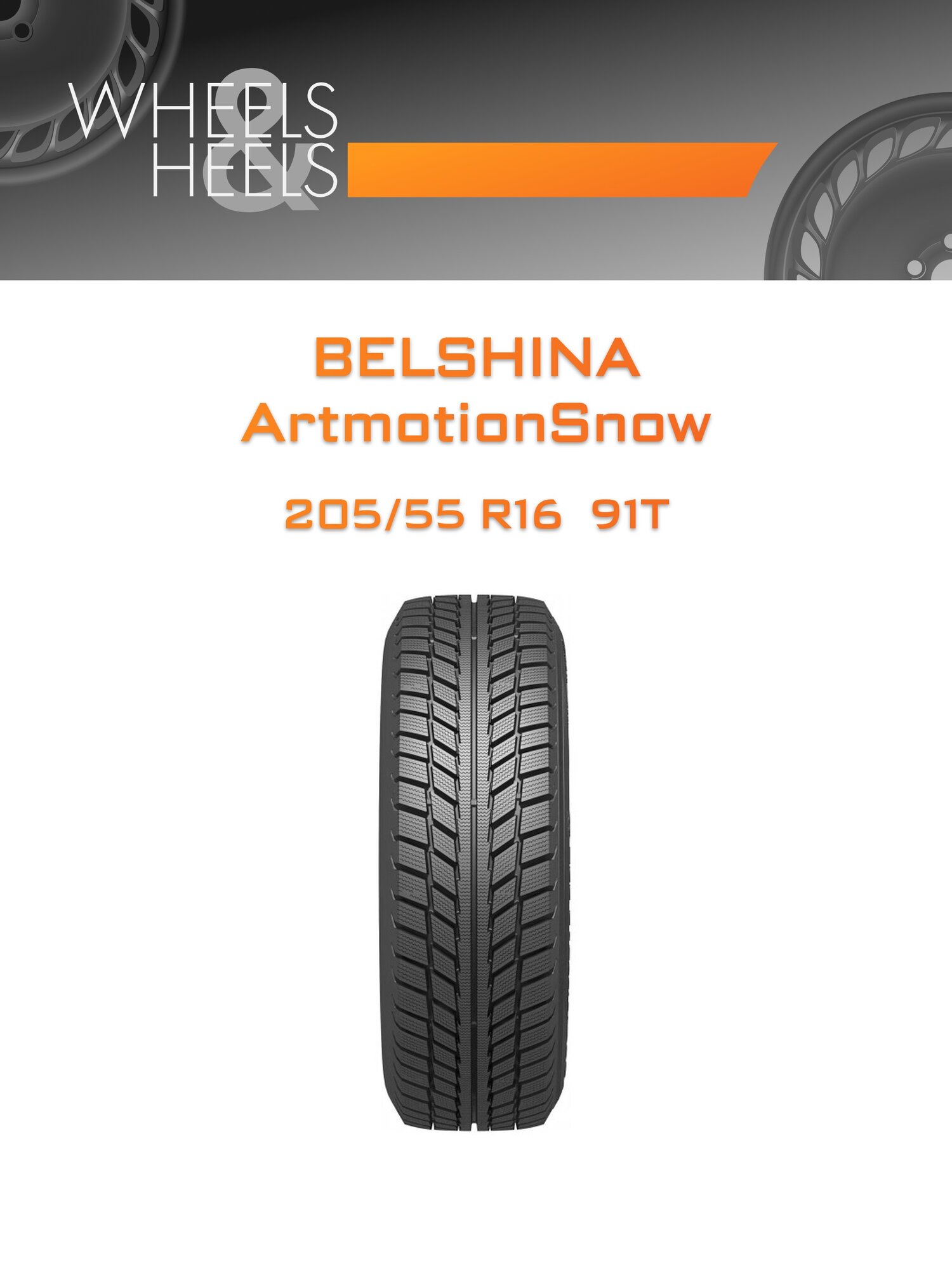 Шина автомобильная BELSHINA ArtmotionSnow 205/55 R16 91T WINTER, зимняя, универсальная