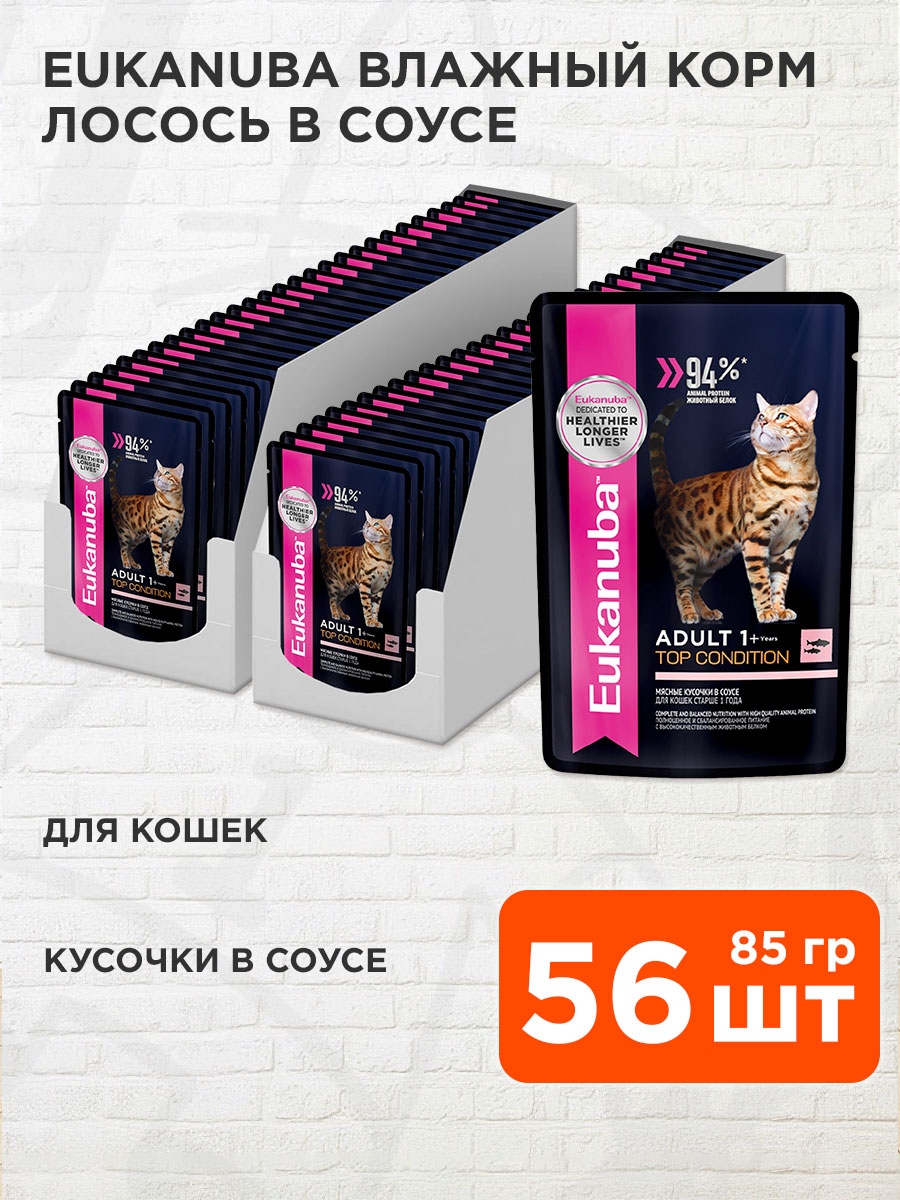 Корм влажный Eukanuba Cat Adult для взрослых кошек лосось в соусе, 85 г 56 шт
