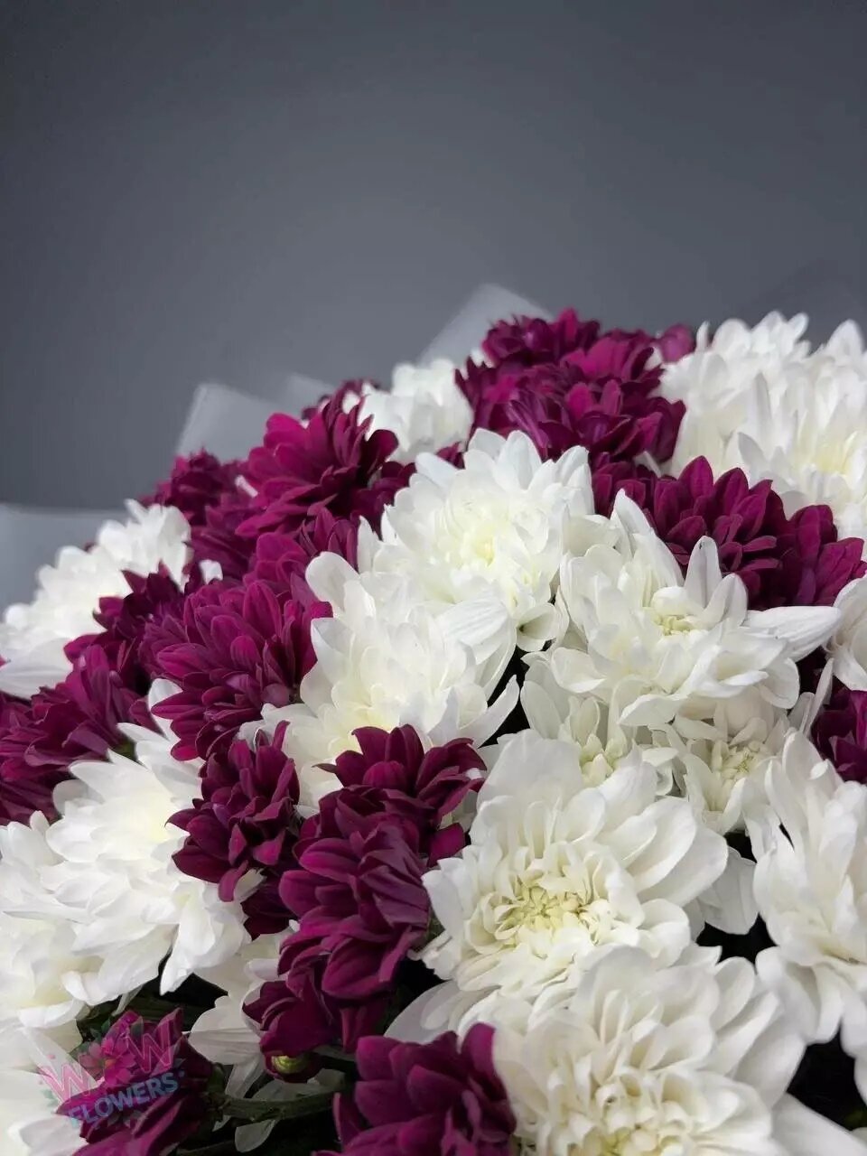 Фиолетовый туман – большой букет из белых и фиолетовых хризантем с доставкой