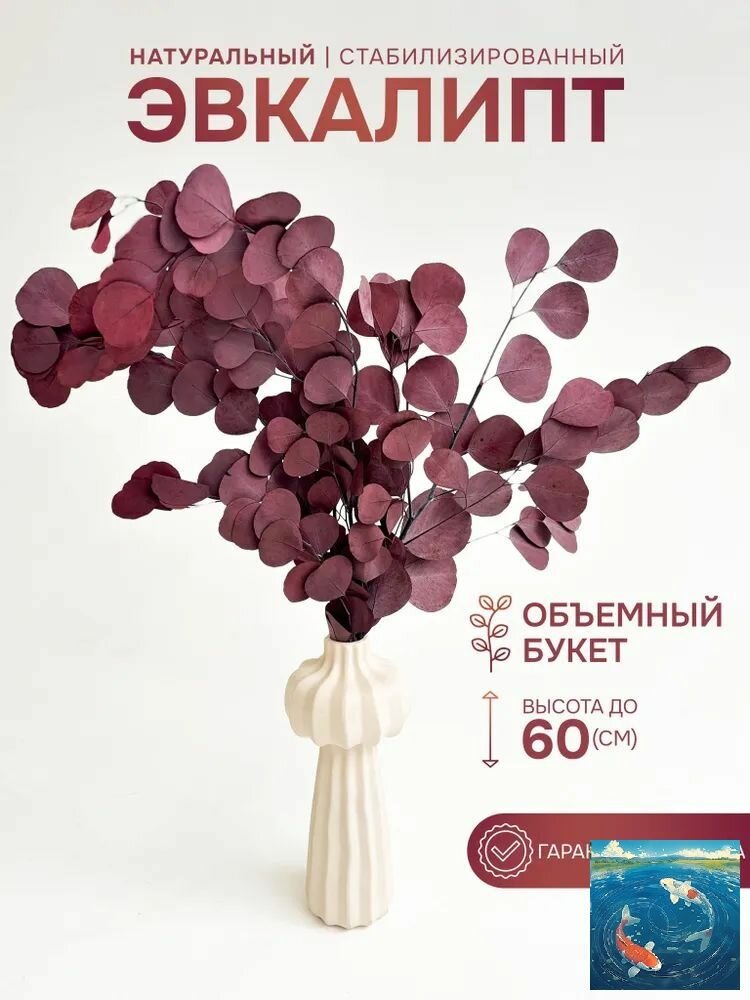 Сухоцветы Эвкалипт, 70 см, 1 шт