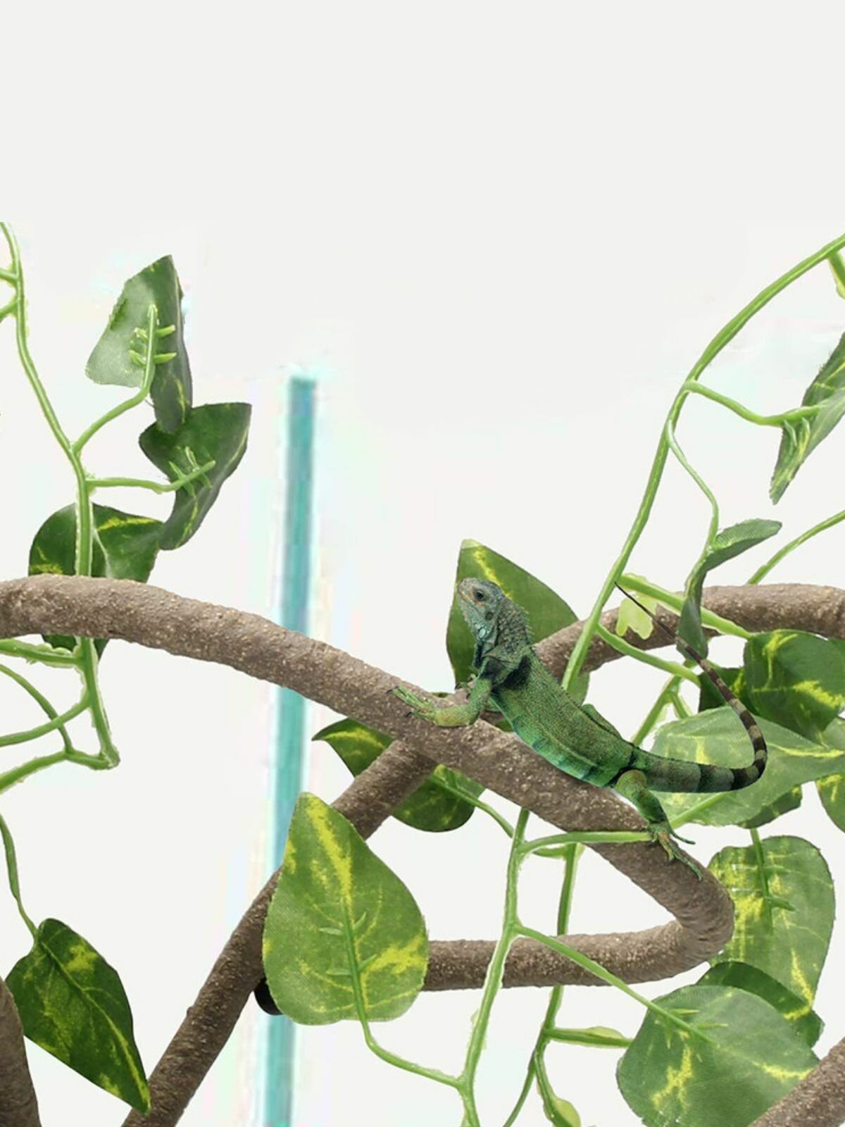 Комплект ротанга и лозы для террариума