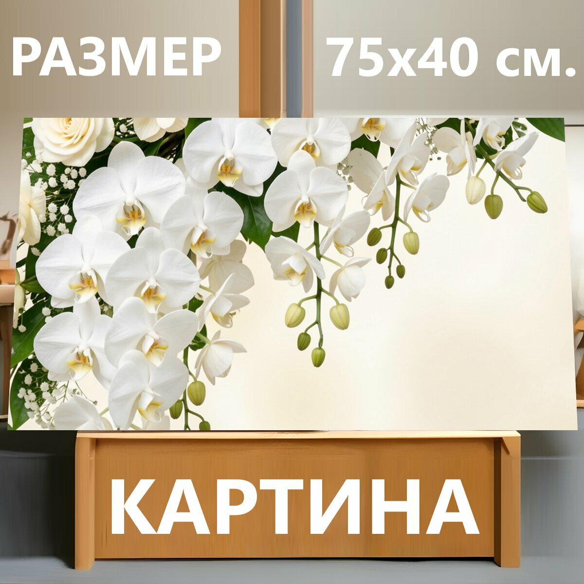 Картина на холсте "Белые орхидеи и розы. Нежная цветочная композиция с каскадом белоснежных орхидей, кремовых роз и зелени на светлом фоне." на подрамнике 75х40 см. для интерьера
