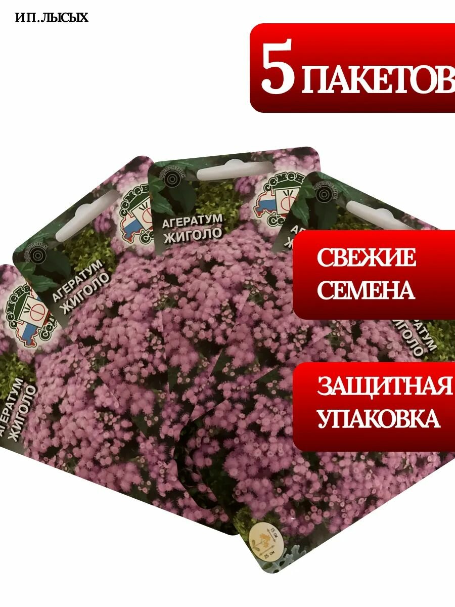 Семена Агератум "Жиголо"