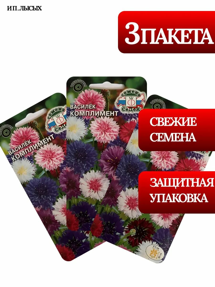 Семена Василек "Комплимент"