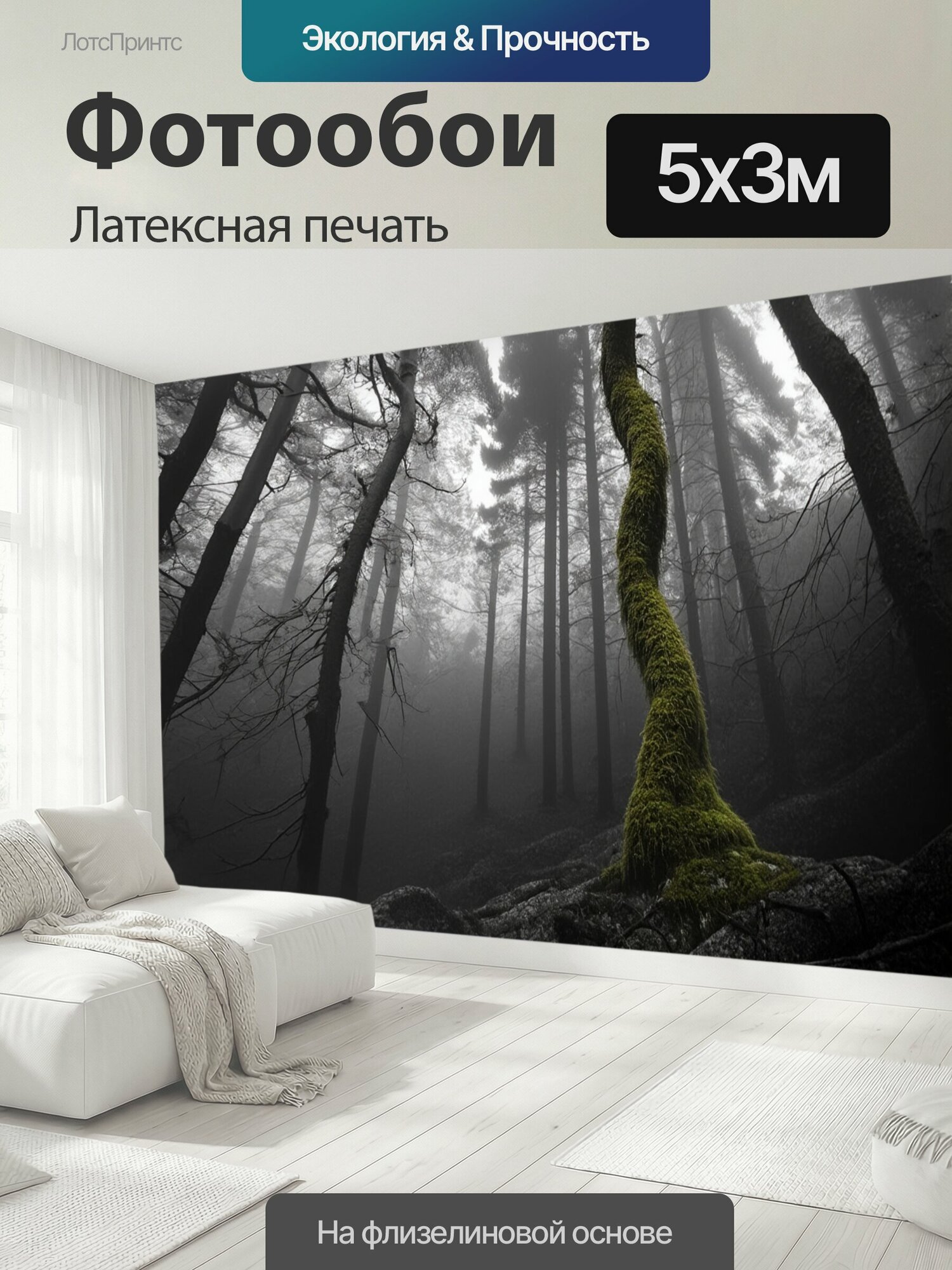 Фотообои моющиеся ударопрочные "Черно-белая фотография леса в тумане, деревья с искривленными стволами и ветками, покрытые мхом" 500x300 см. латексная печать