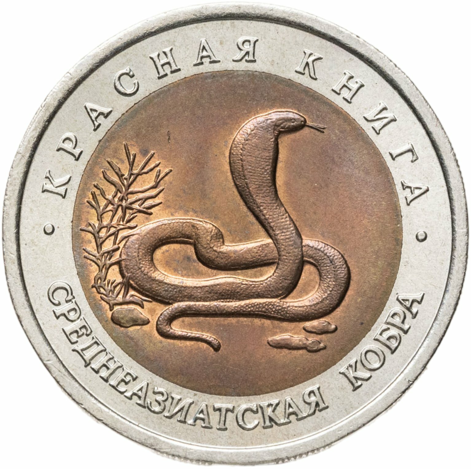 10 рублей 1992 ЛМД среднеазиатская кобра