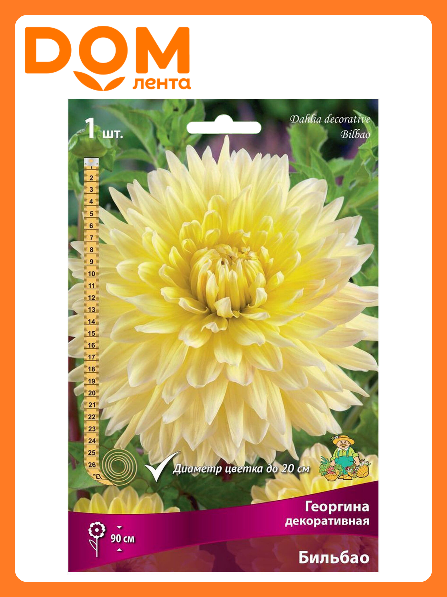 Клубень Георгины поиск Бильбао