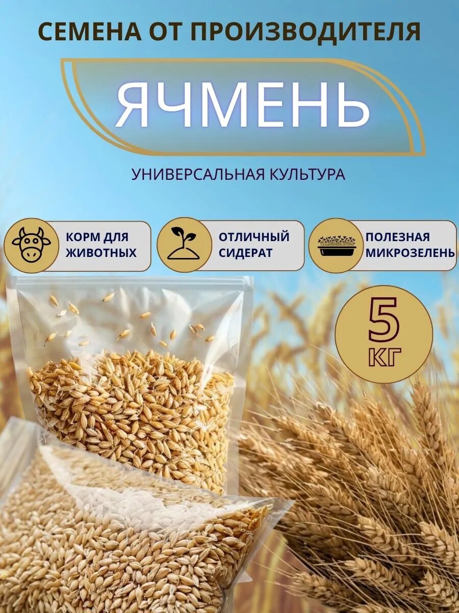 Ячмень чистый крупный 5 КГ