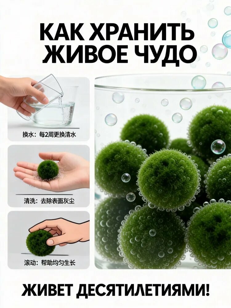 Живые шарики Маримо, для аквариума, 4 штуки, цвет светло-зелёный