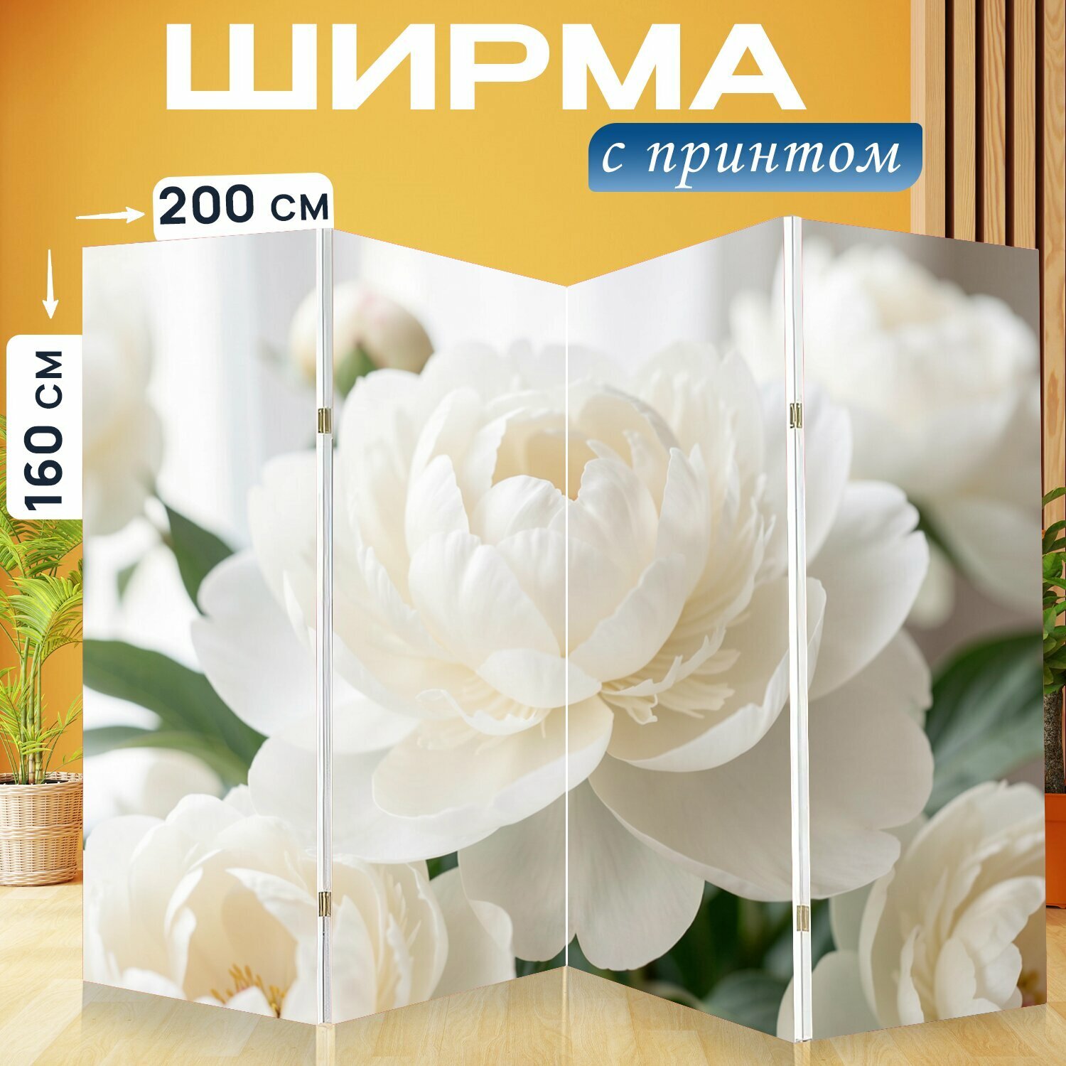 Ширма "Белые цветы в мягком свете. Нежная цветочная композиция с крупными кремово-белыми бутонами и зелёными." перегородка для зонирования комнаты с принтом 200x160 см. на холсте