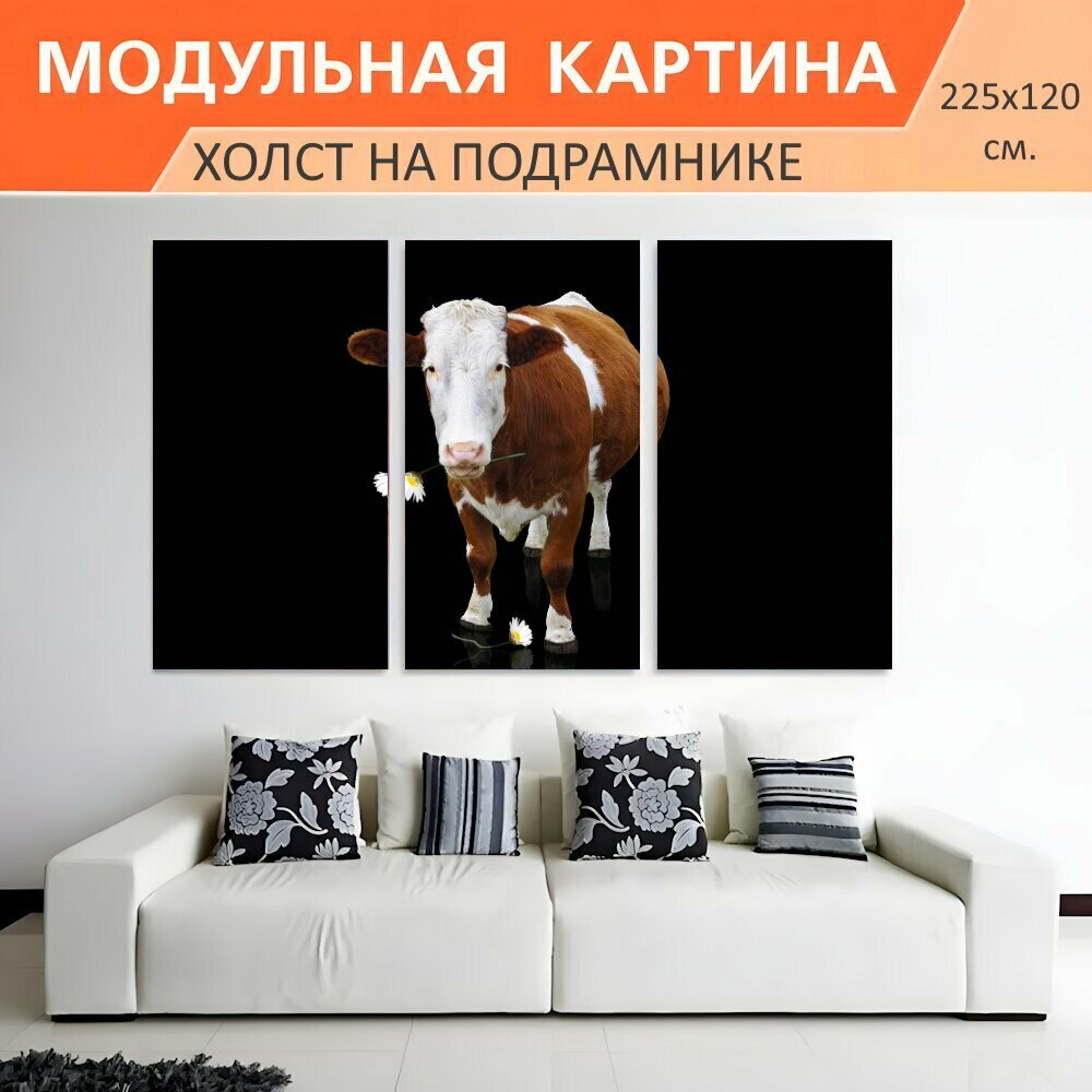 Модульная картина на холсте "Корова, говядина, животное" триптих на подрамнике 225х120 см. для интерьера