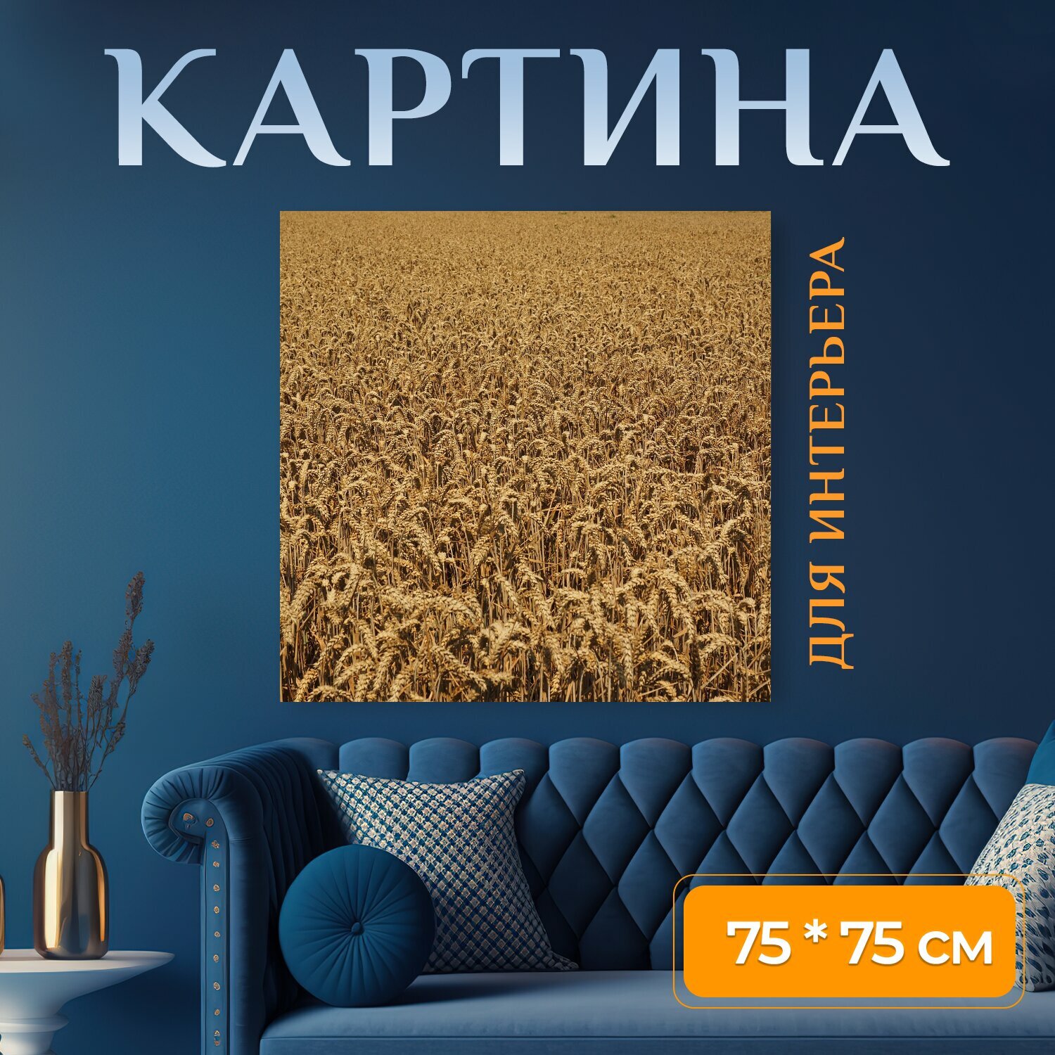 Картина на холсте "Кукурузное поле, зерновое поле, пшеничное поле" на подрамнике 75х75 см. для интерьера