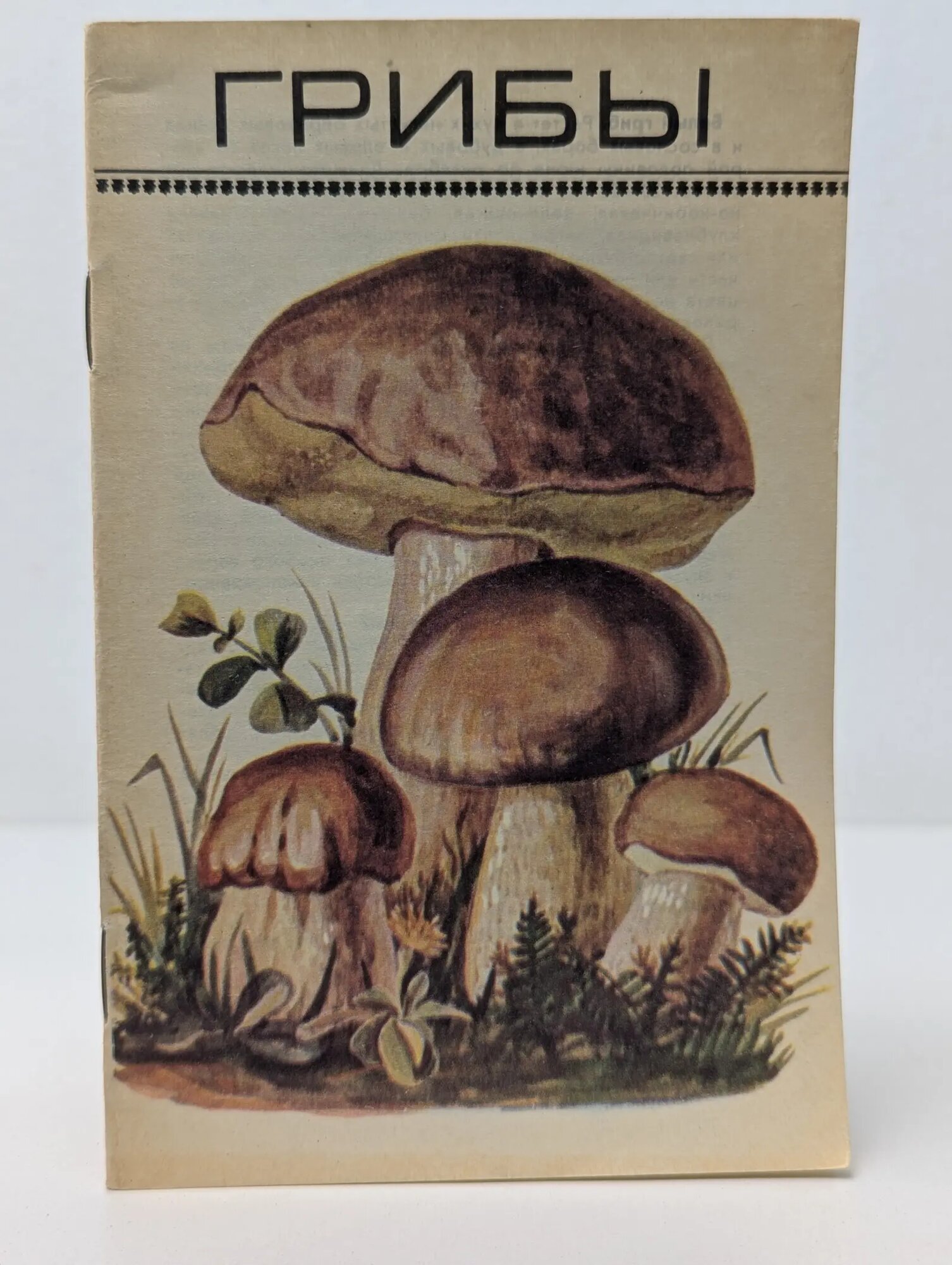 Грибы Мякушко Таисия Яковлевна (сост.) 1975