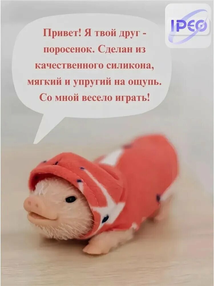 Свинка Reborn — фото 1