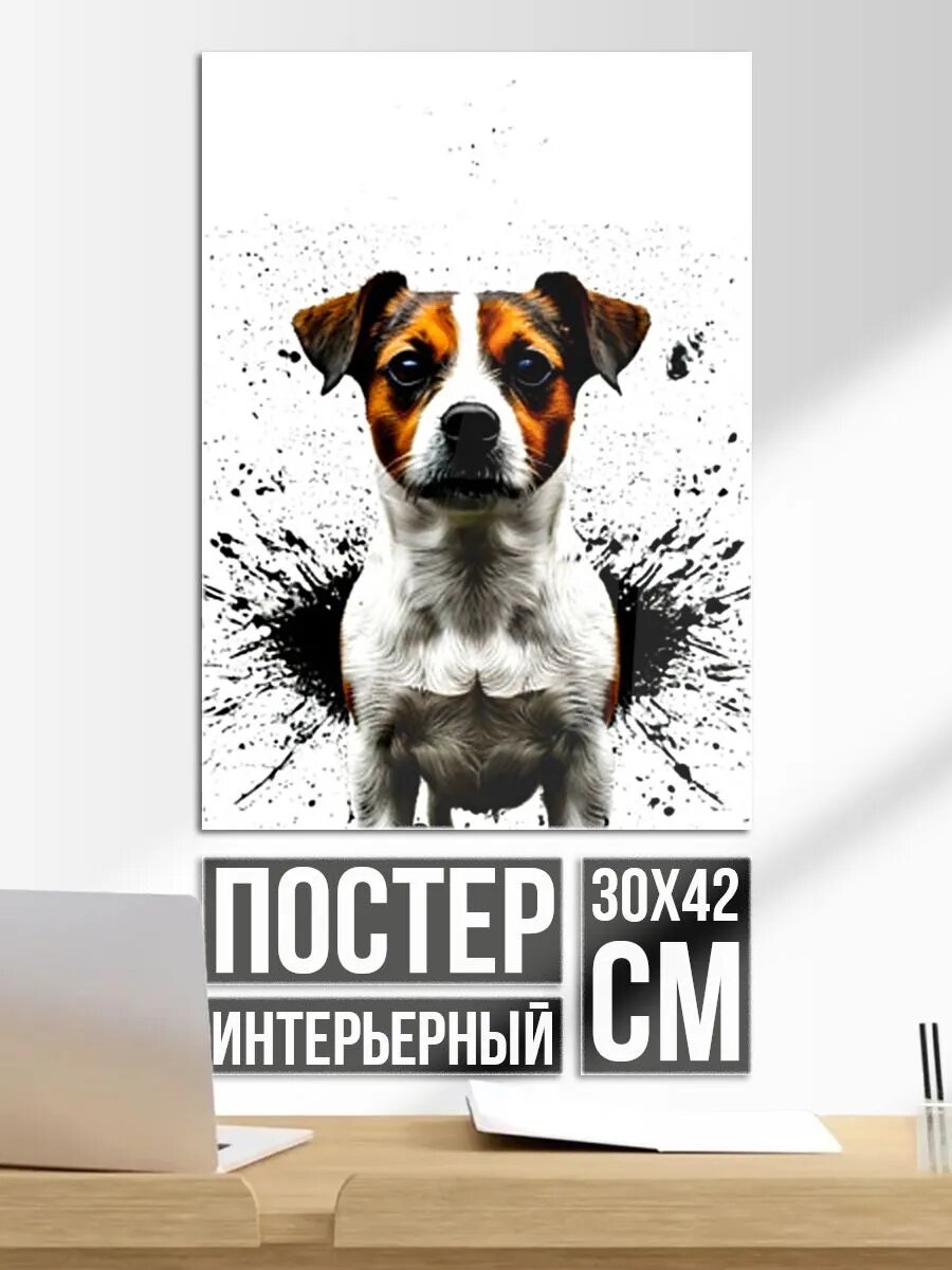 Постер на стену Джек Рассел терьер на белом с черным