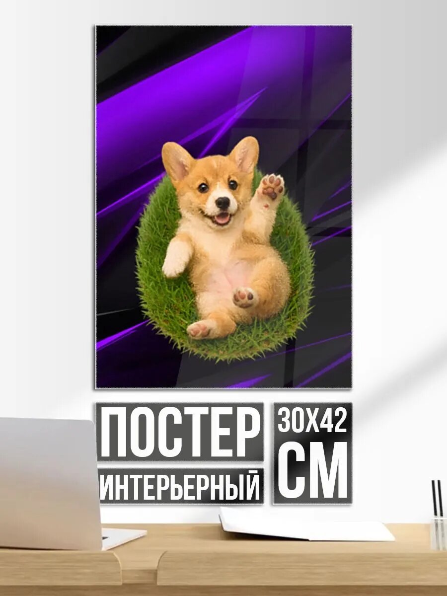 Постер на стену Корги на траве