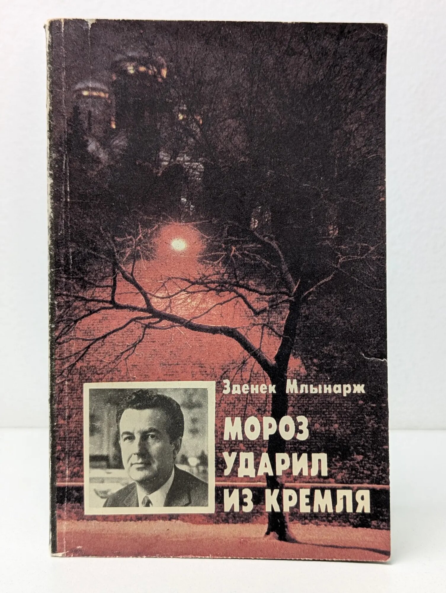 Мороз ударил из Кремля Млынарж Зденек 1992