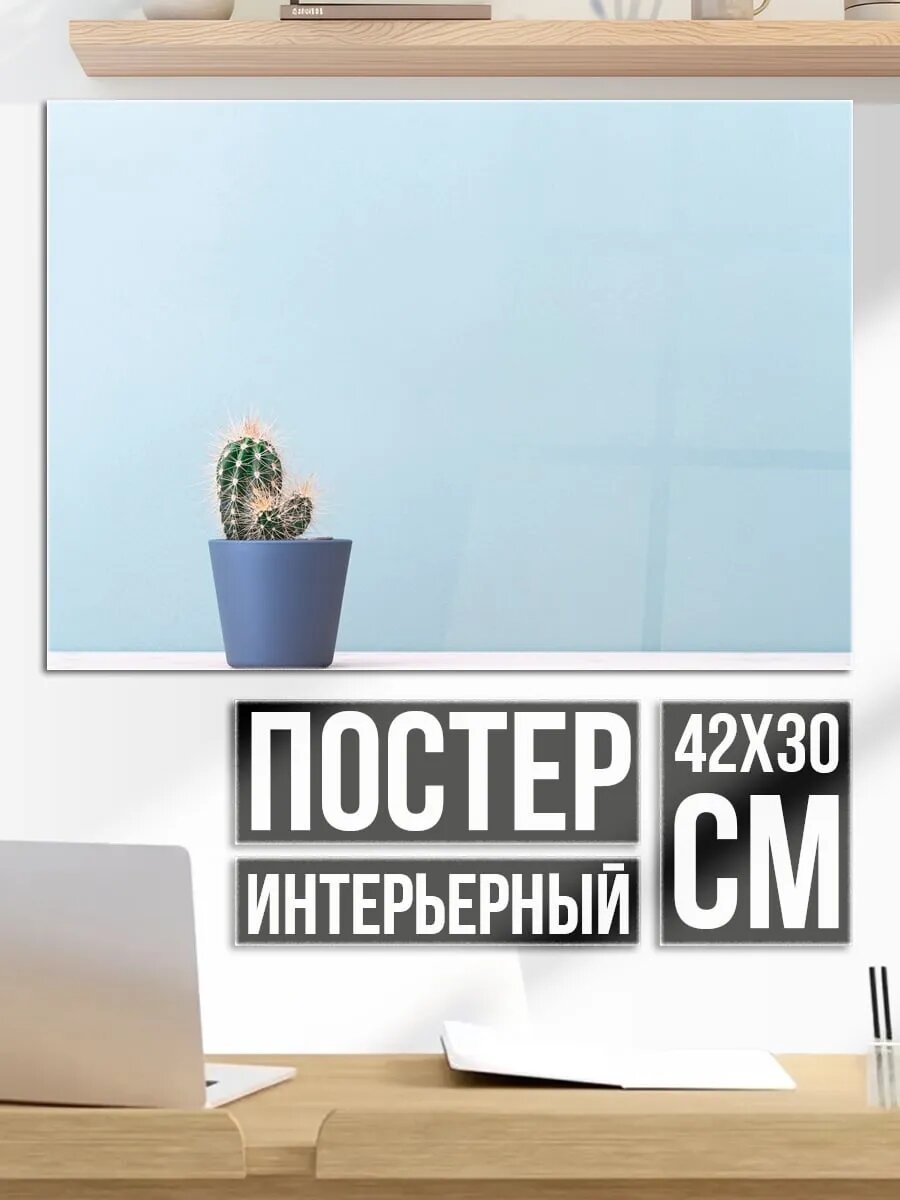 Плакат постер Кактус в горшке