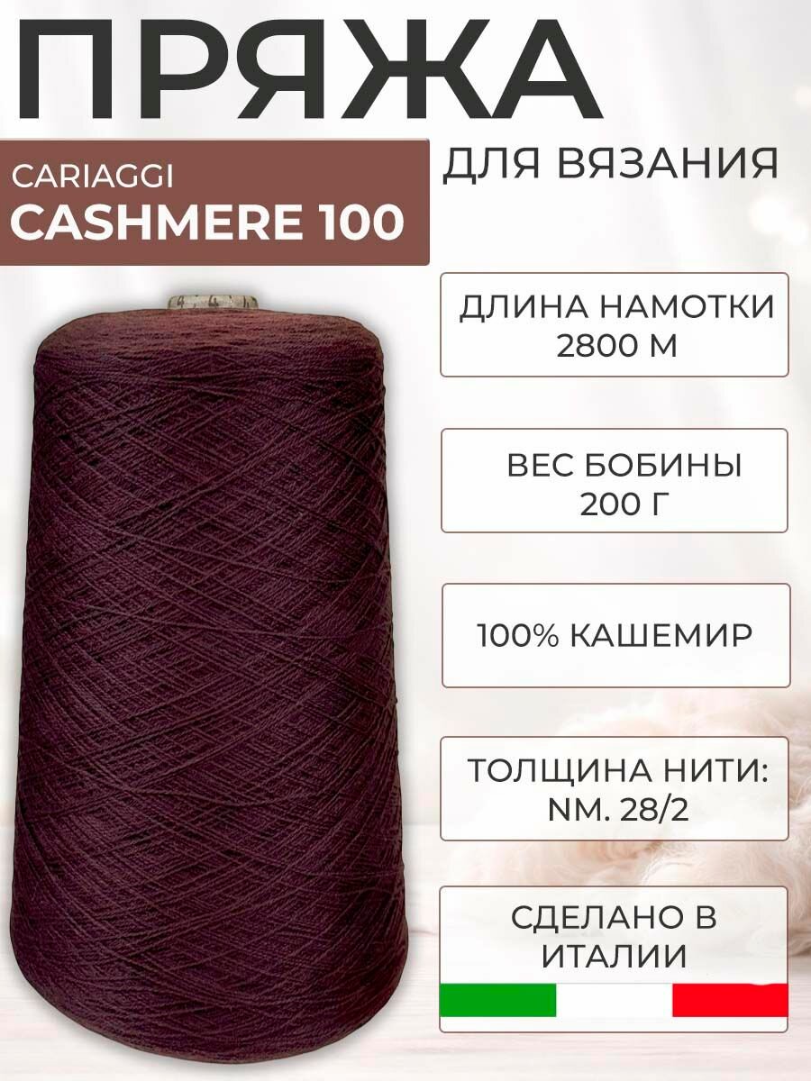 Пряжа бобинная Cariaggi Cashmere 100 кашемировая, 200 г / 2800 м, цвет сливовый