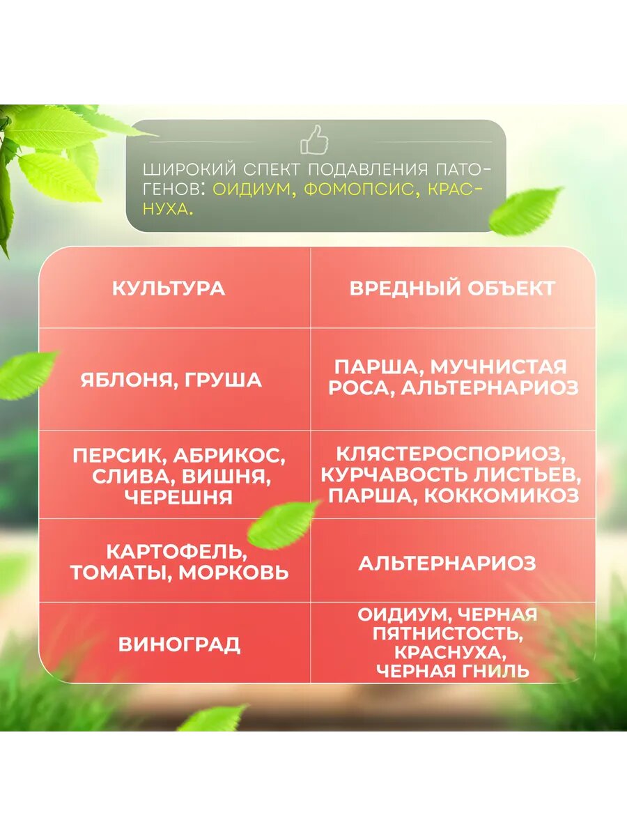 Фунгицид Скор 100 мл — фото 1