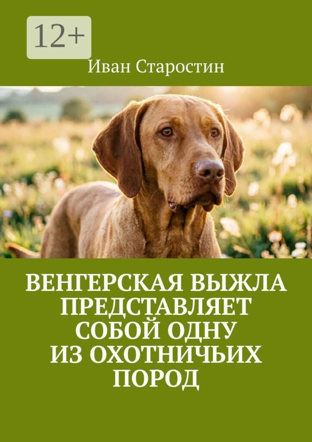 Венгерская выжла представляет собой одну из охотничьих пород [Цифровая книга]