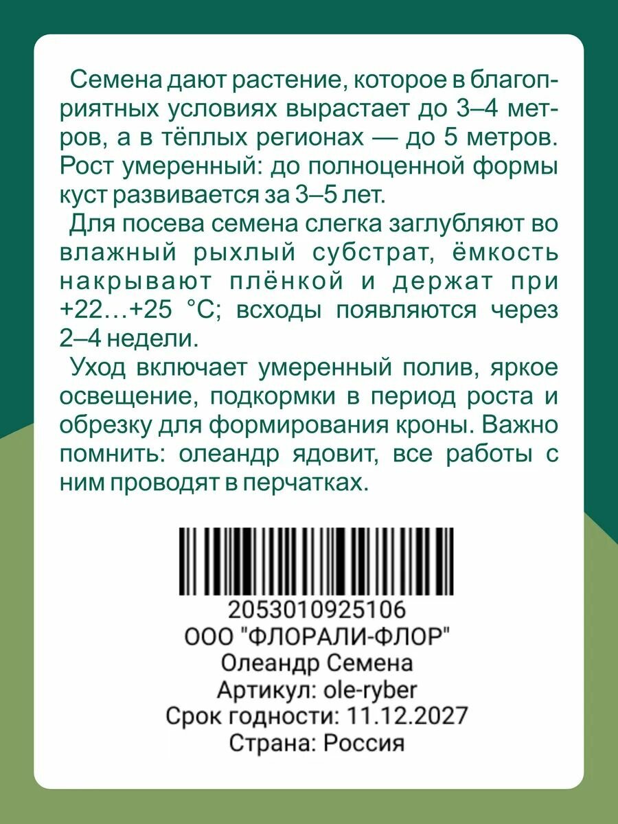 Олеанадр Семена — фото 1