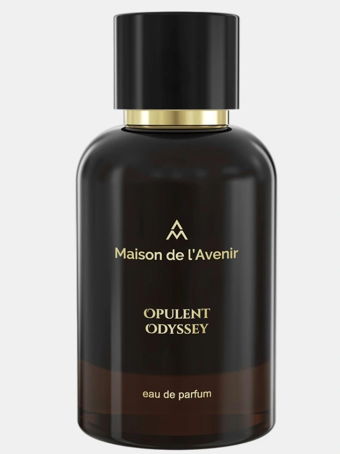 Maison De L Avenir Opulent Odyssey духи унисекс 100 мл - Мэзон Де Лавенир Опьюлент Одисси