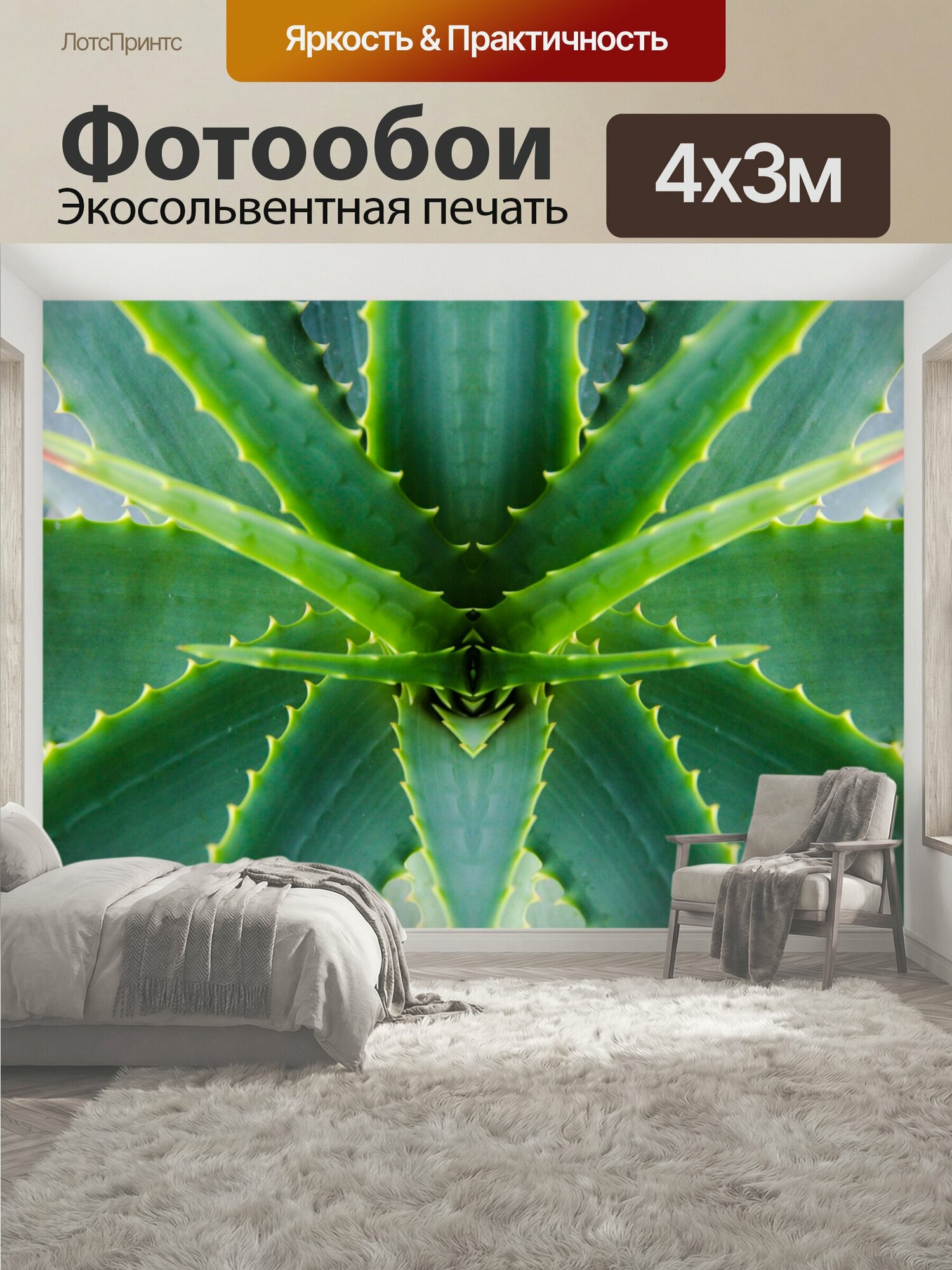 Фотообои "Алоэ вера, суккулент, кактус, алоэ вера, суккулент, кактус, ботаника, уход за кожей, растение, лист, шип, рост, оконный сад, алоэ." 400x300 см. экосольвентная печать