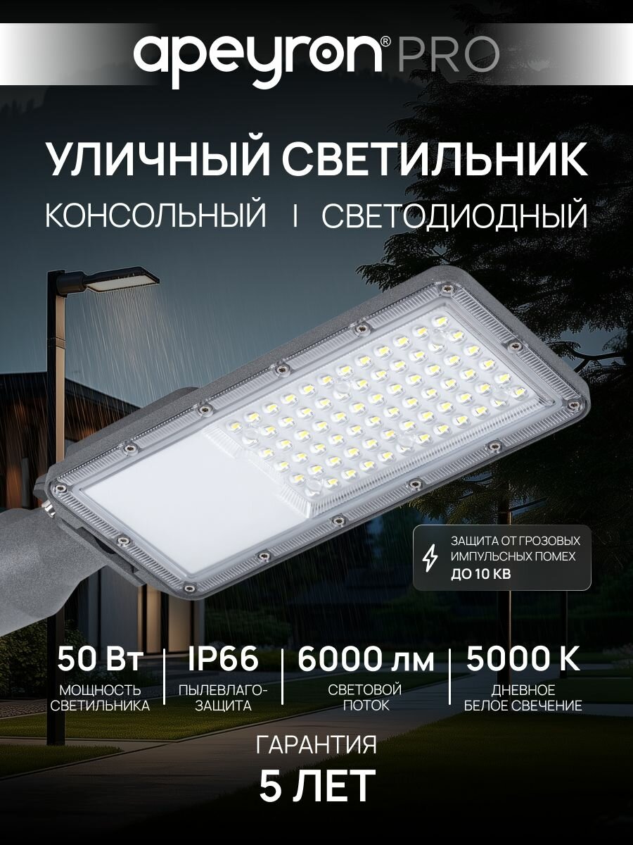 Светильник светодиодный консольный уличный Apeyron PRO 29-14, 50Вт, 5000К, 6000Лм, IP66, серый