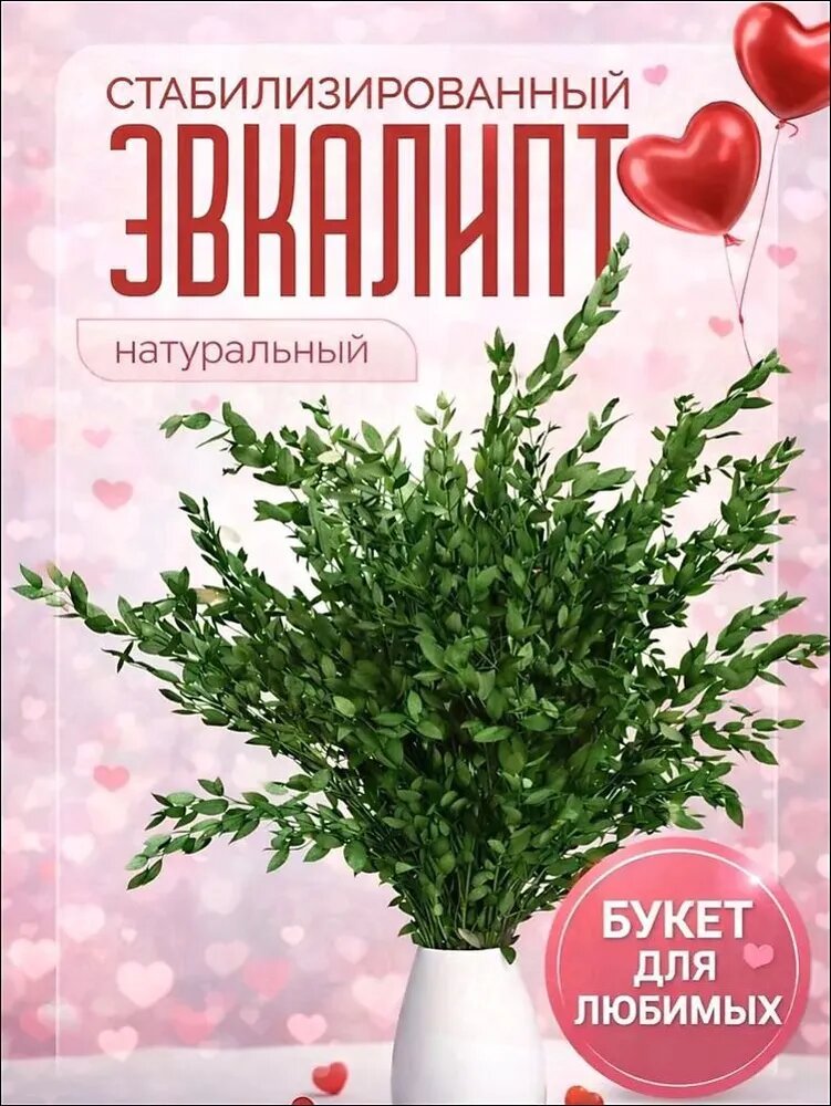 Сухоцветы Эвкалипт, 55 см, 150 гр