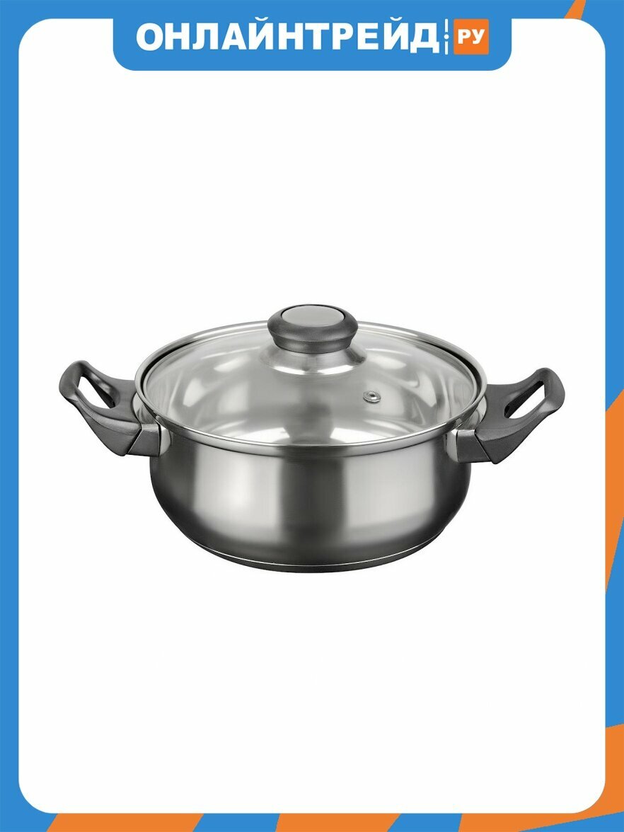 Кастрюля Катунь ASTELL с крышкой, 2,8 л, 20 см (RW1201-LQ-20C)
