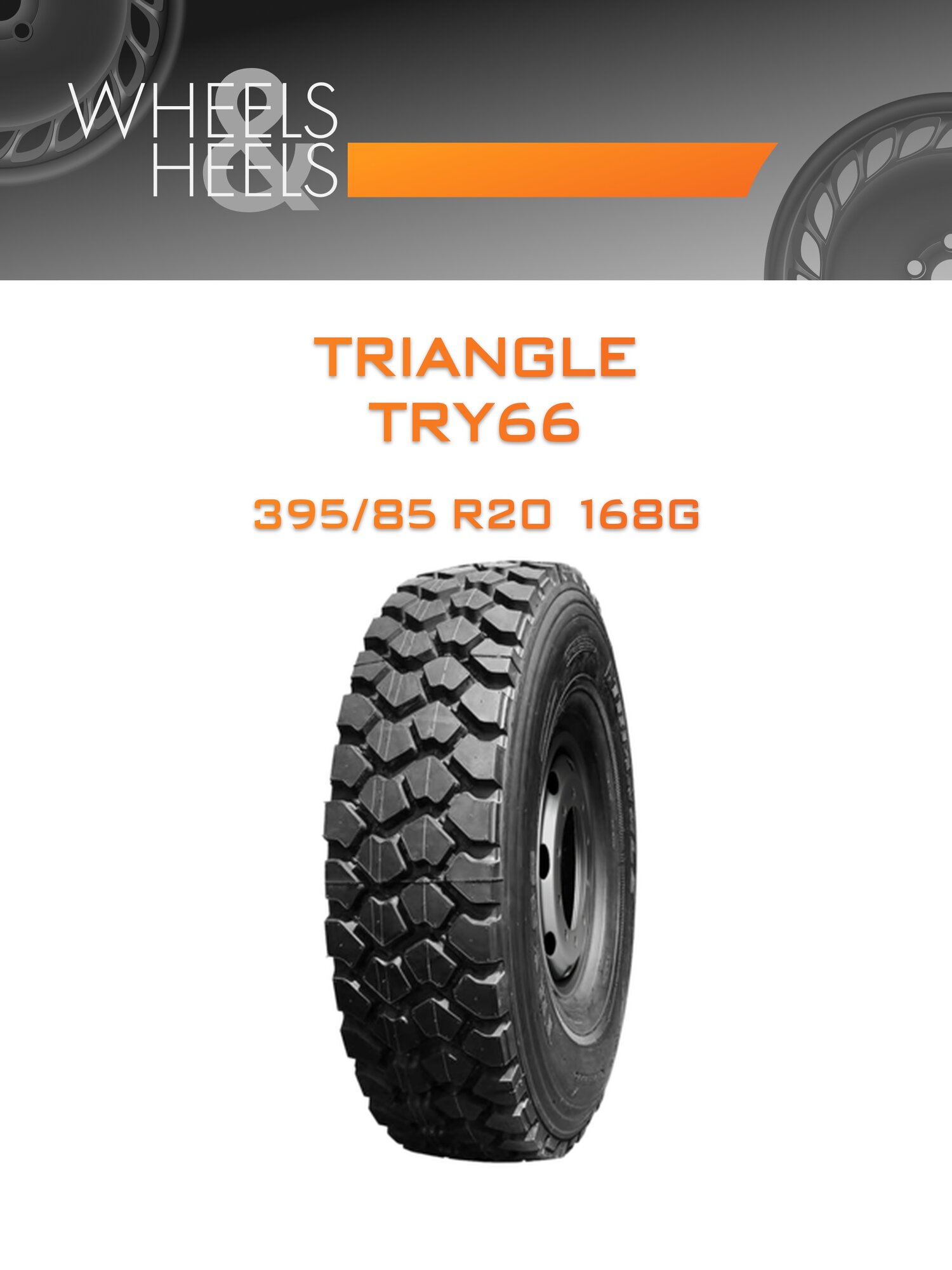 Шина автомобильная Triangle TRY66 395/85 R20 168G ALLSEASON, всесезонная, универсальная