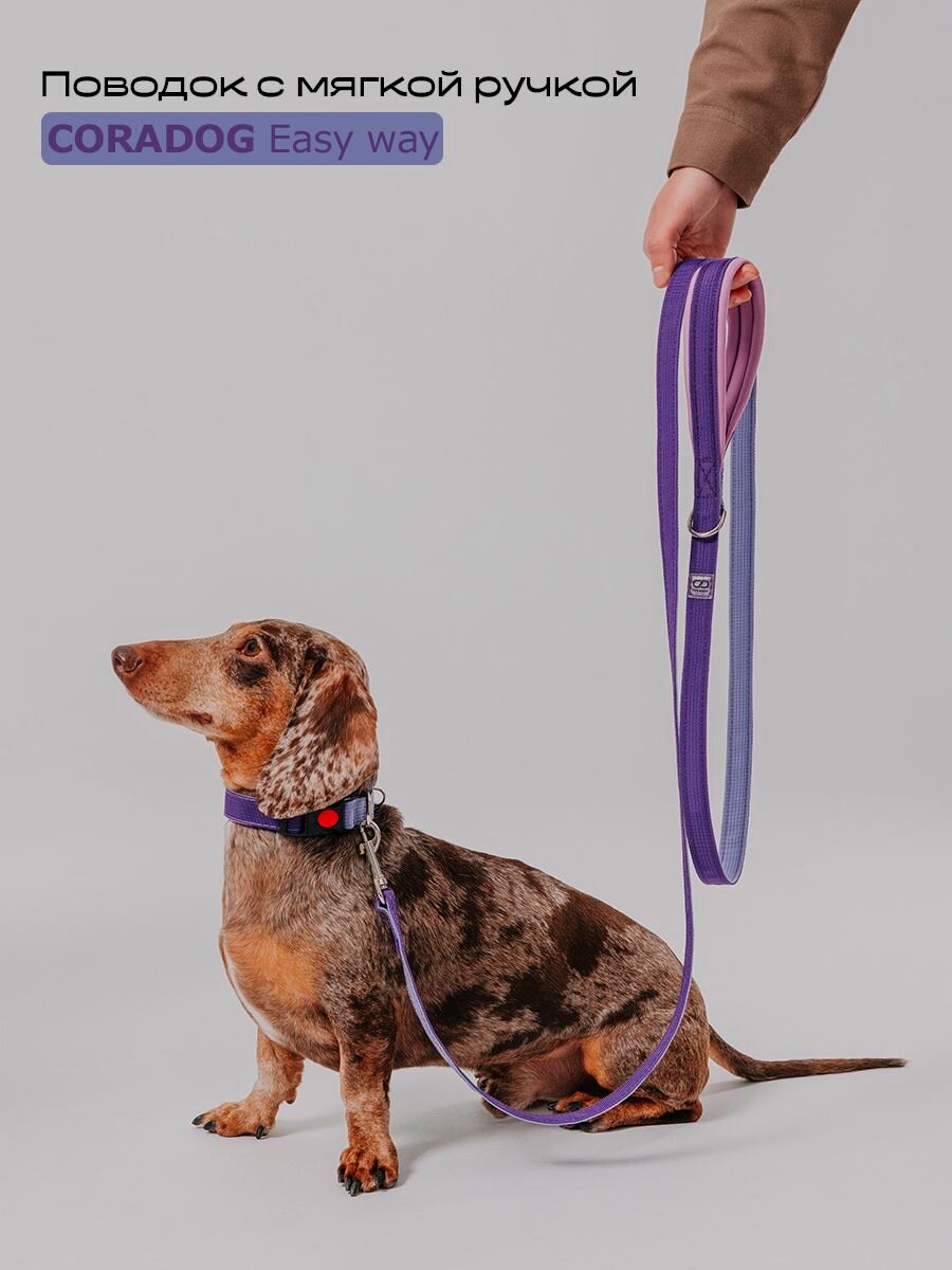 Поводок CORADOG Easy way c мягкой ручкой и карабином сплав 100кг, длина 2 м, для маленьких пород собак цвет сиреневый, фиолетовый