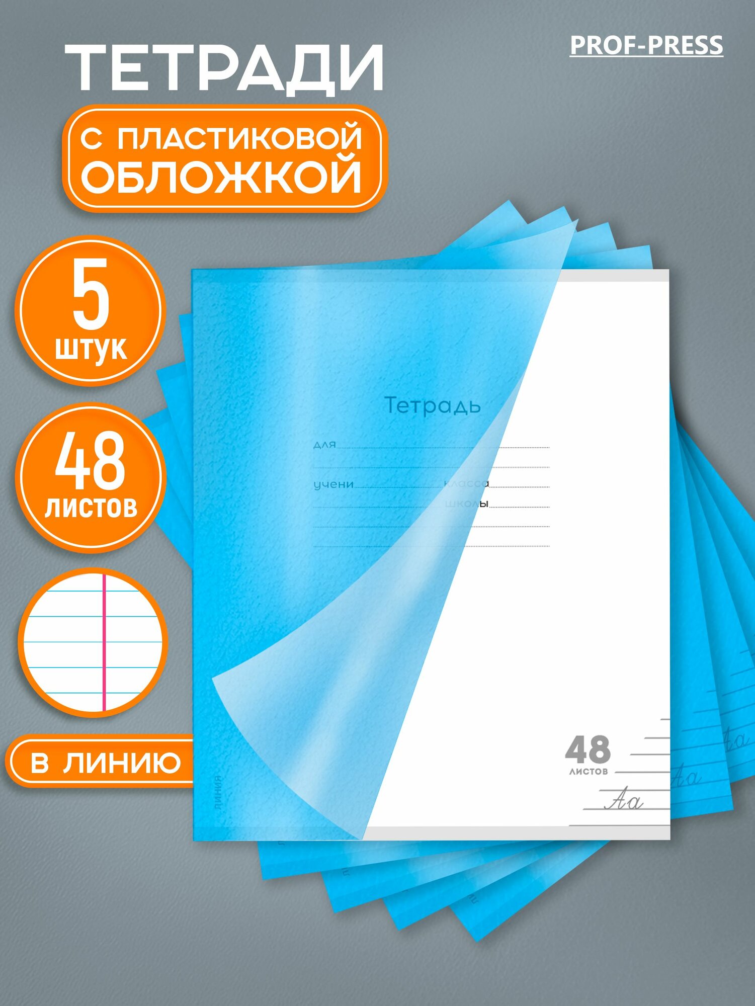 Тетрадь в линейку 48 листов с пластиковой обложкой Prof-Press