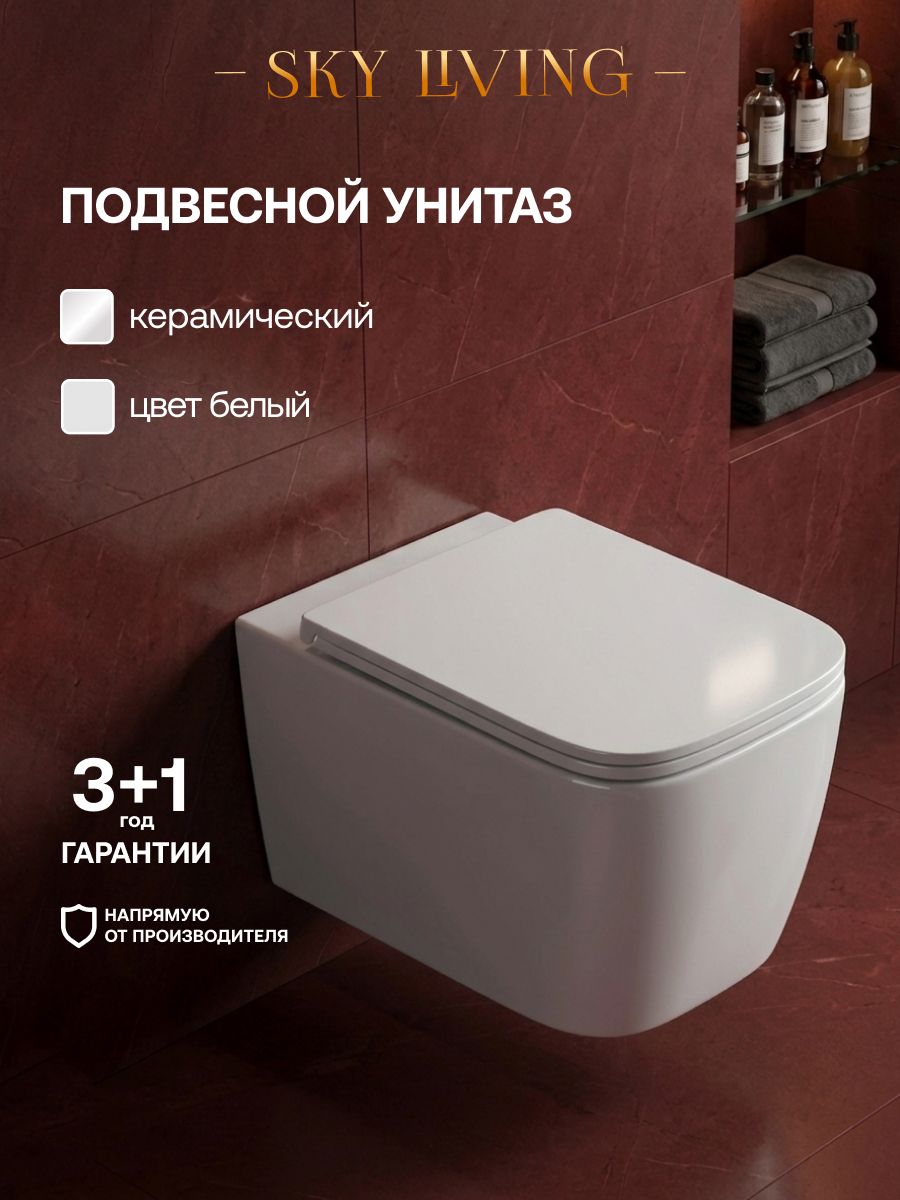 Подвесной унитаз безободковый керамический VONG Dijon, 530*360*360 мм, DN022
