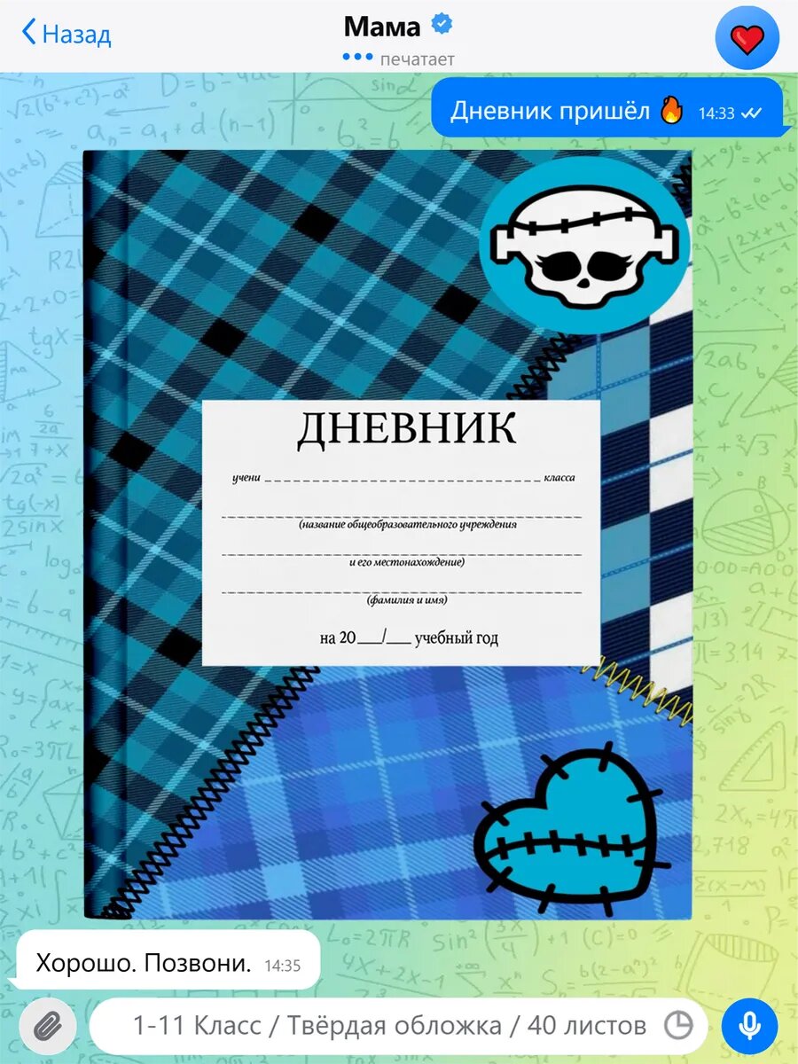 Школьный дневник с принтом Роблокс