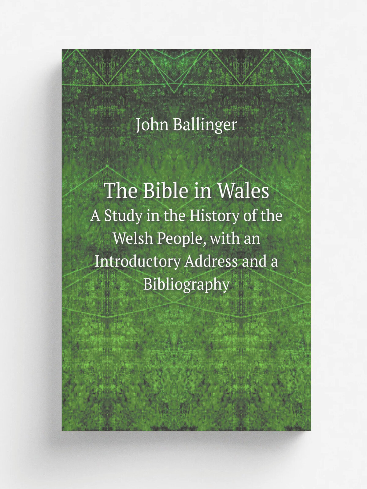The Bible in Wales. A Study in the History of the Welsh People, with an Introductory Address and a Bibliography