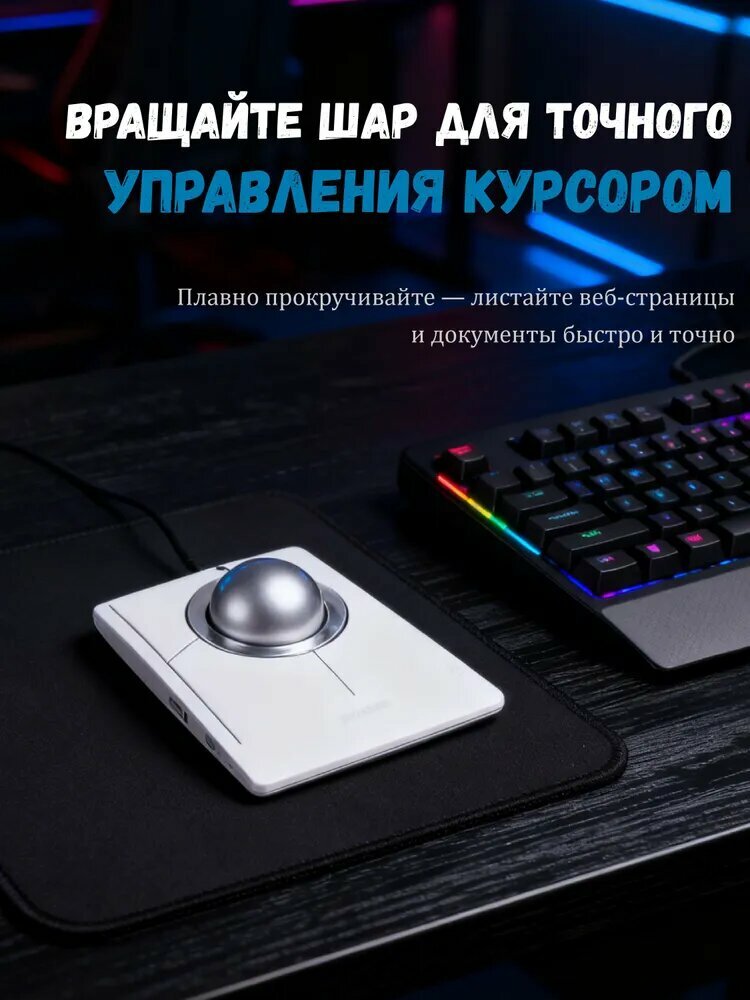 Мышь, белый